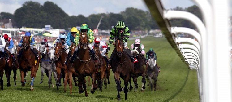 Corporate Hospitality For UK's Top Sporting Events | Team Tactics