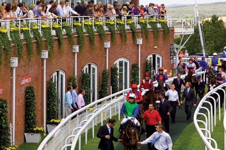 Horse Racing Corporate Hospitality Packages | Team Tactics