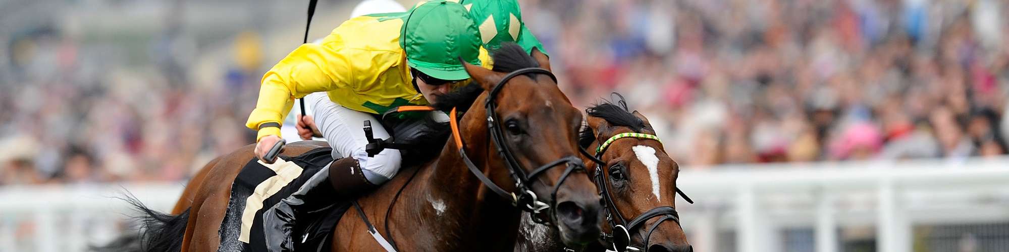 Horse Racing Hospitality Corporate Packages | Team Tactics